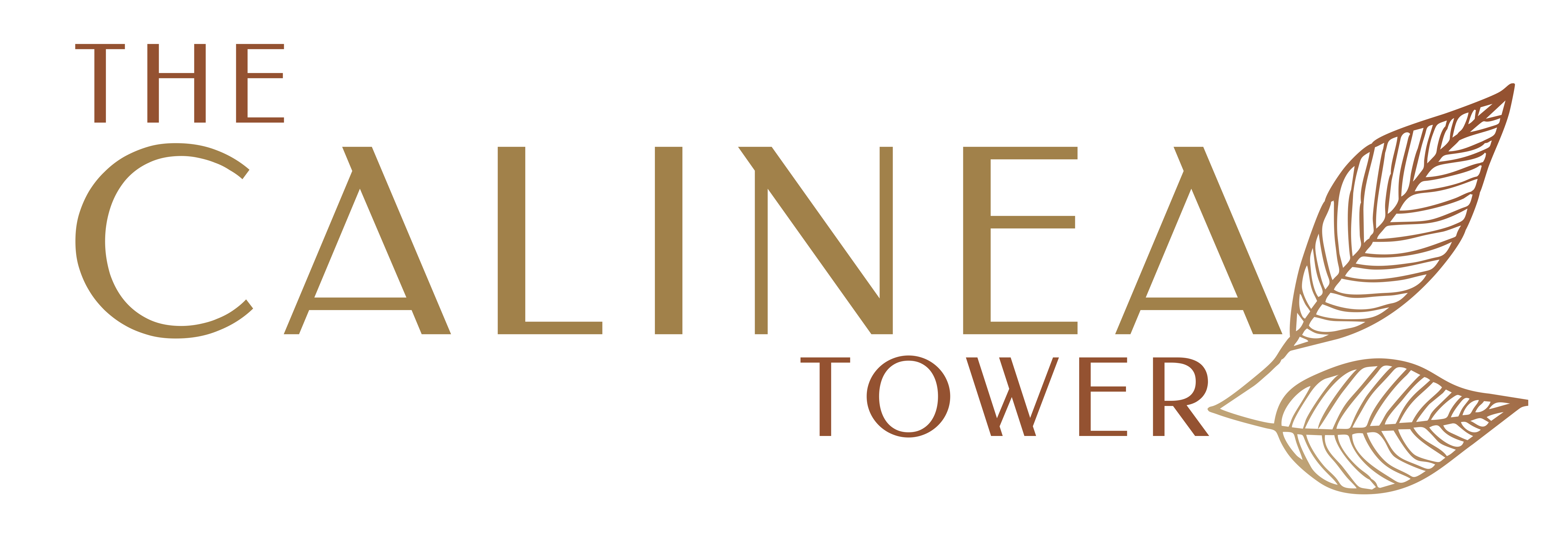 The Calinea Tower | Caloocan | Official DMCI Homes